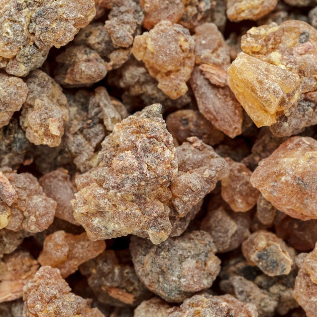 BENJOIN SIAM RESINOÏDE - Astier Demarest